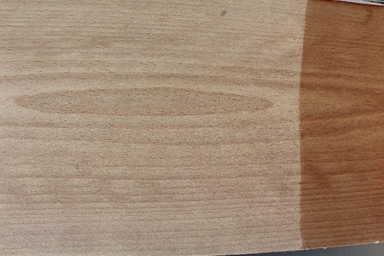 Buk | Lesy České republiky, s. p.