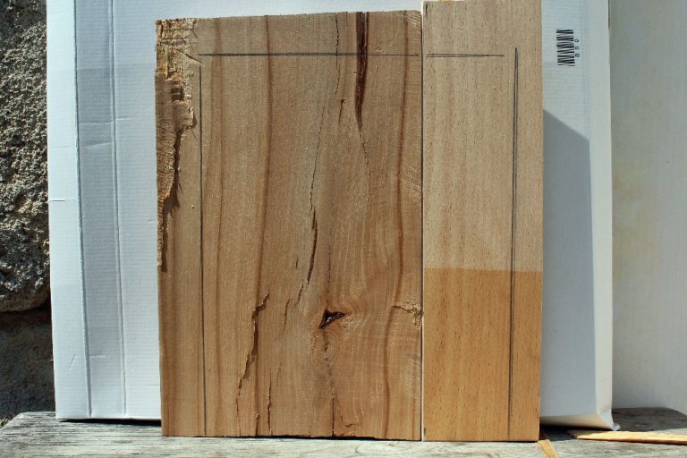 Buk | Lesy České republiky, s. p.