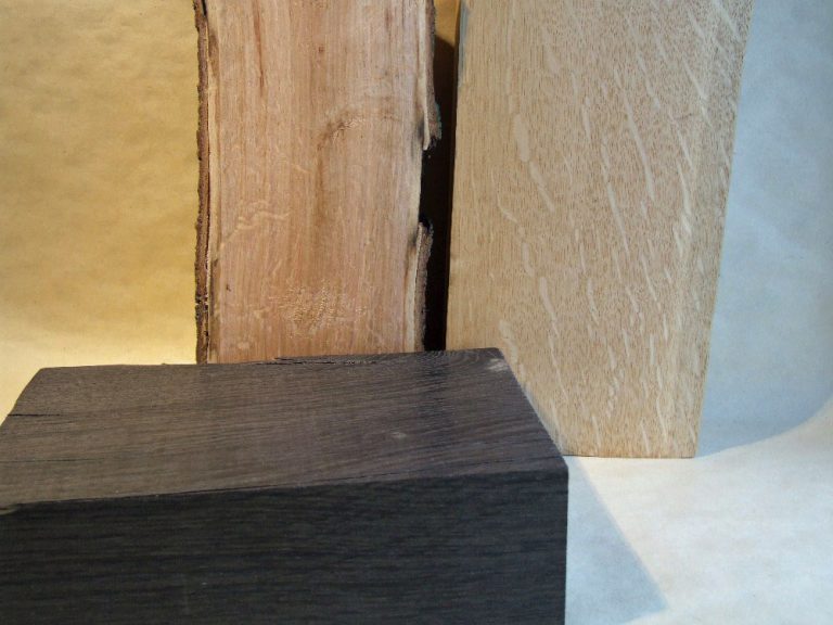 Dub | Lesy České republiky, s. p.